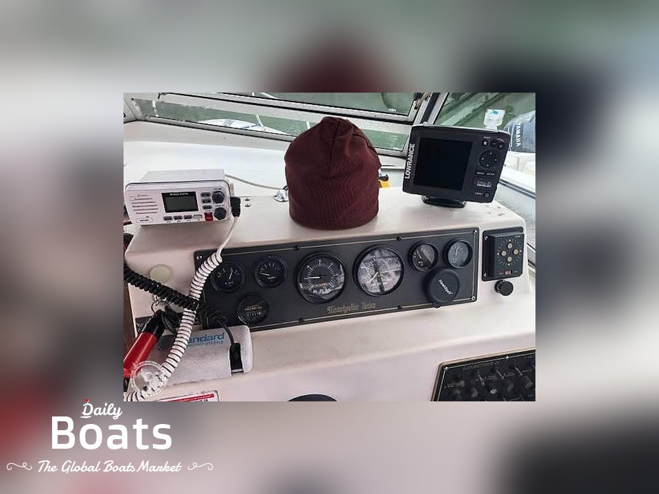 1988 Hinterhoeller Limestone 24 Express for sale. View price, photos ...