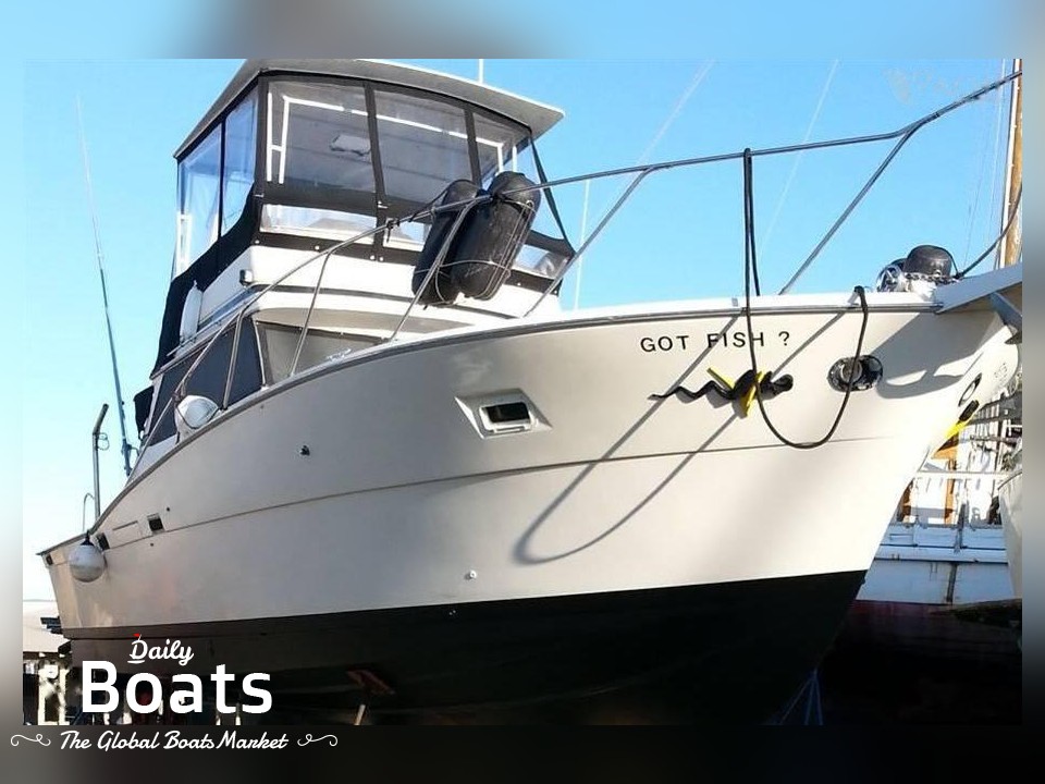 1974 Viking 40 Sedan for sale. View price, photos and Buy 1974 Viking ...