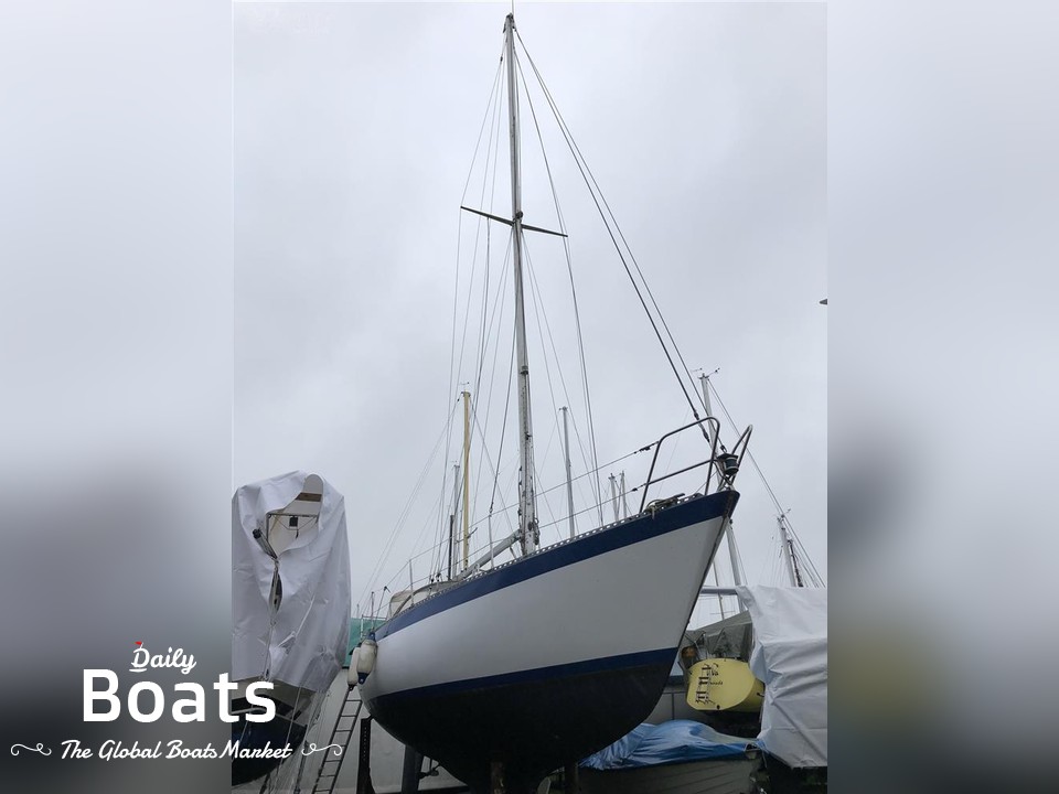 1974 Forgus 31 for sale. View price, photos and Buy 1974 Forgus 31 #234838