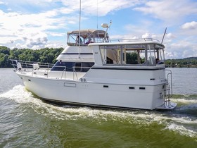 1983 Gulfstar 38 Motor Cruiser for sale. View price, photos and Buy ...
