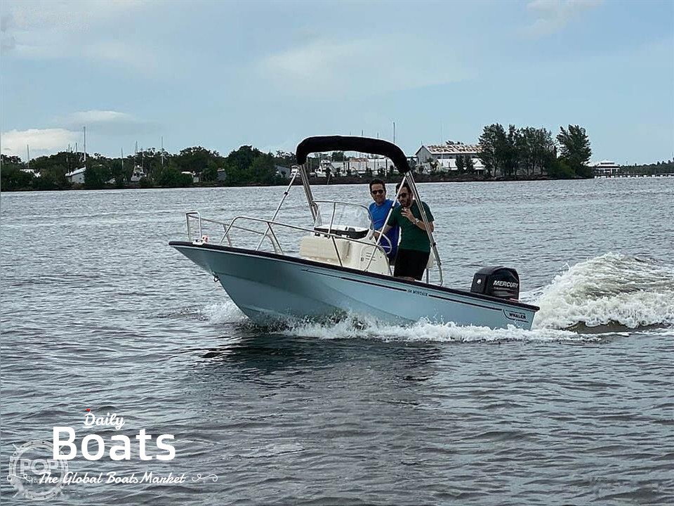 2019 Boston Whaler Boats 15 Montauk for sale. View price, photos and ...