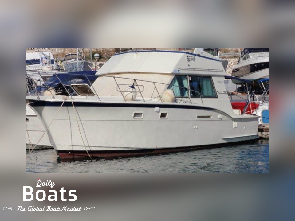 1982 Hatteras Yachts 37 Convertible for sale. View price, photos and ...