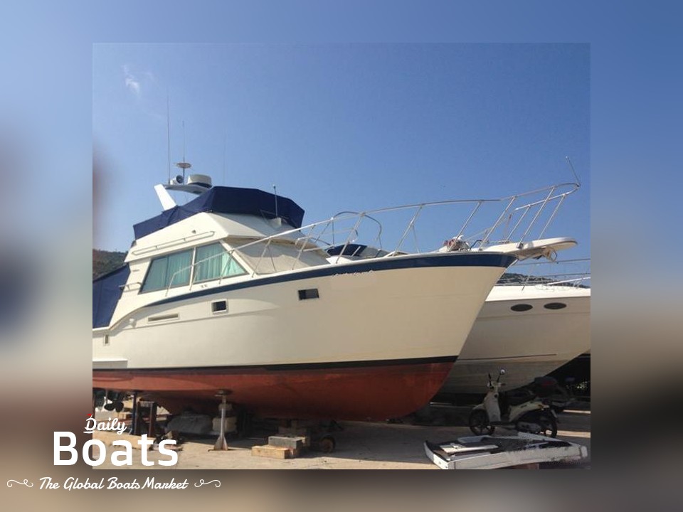 1982 Hatteras Yachts 37 Convertible for sale. View price, photos and ...