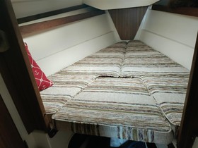 1981 Tanzer 8.5 for sale. View price, photos and Buy 1981 Tanzer 8.5 ...