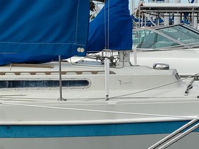 1981 Tanzer 8.5 for sale. View price, photos and Buy 1981 Tanzer 8.5 ...