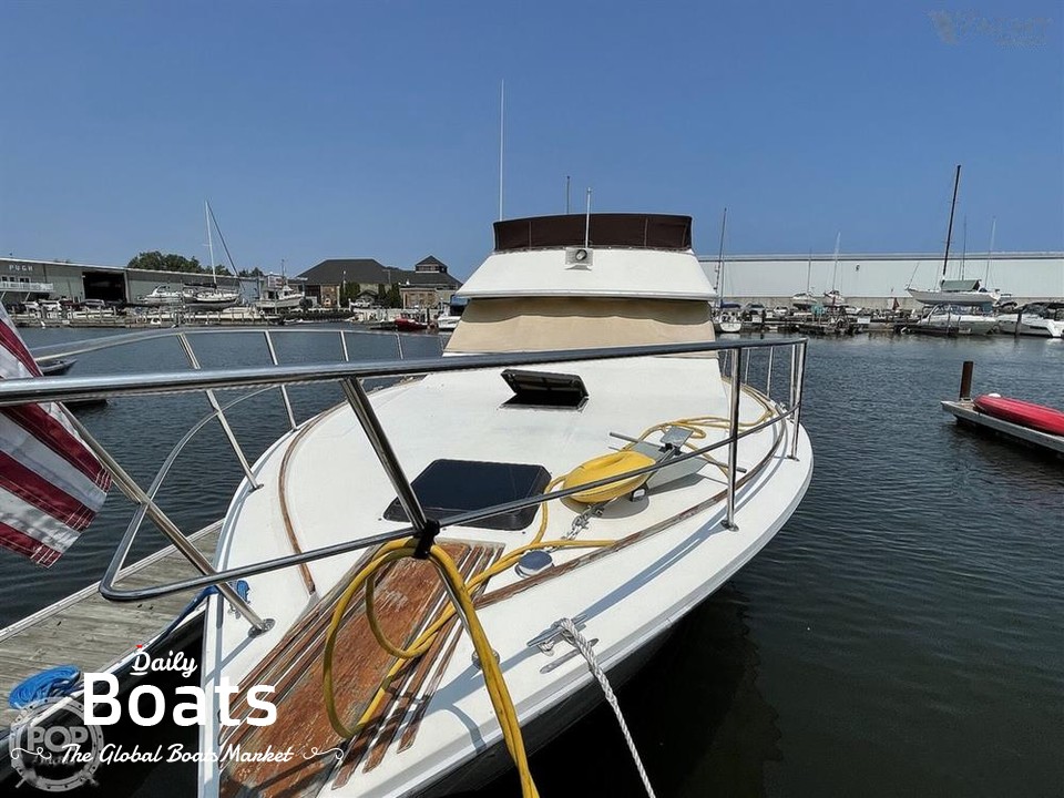 1982 Sea Ray Boats 355T Sedan for sale. View price, photos and Buy 1982 ...