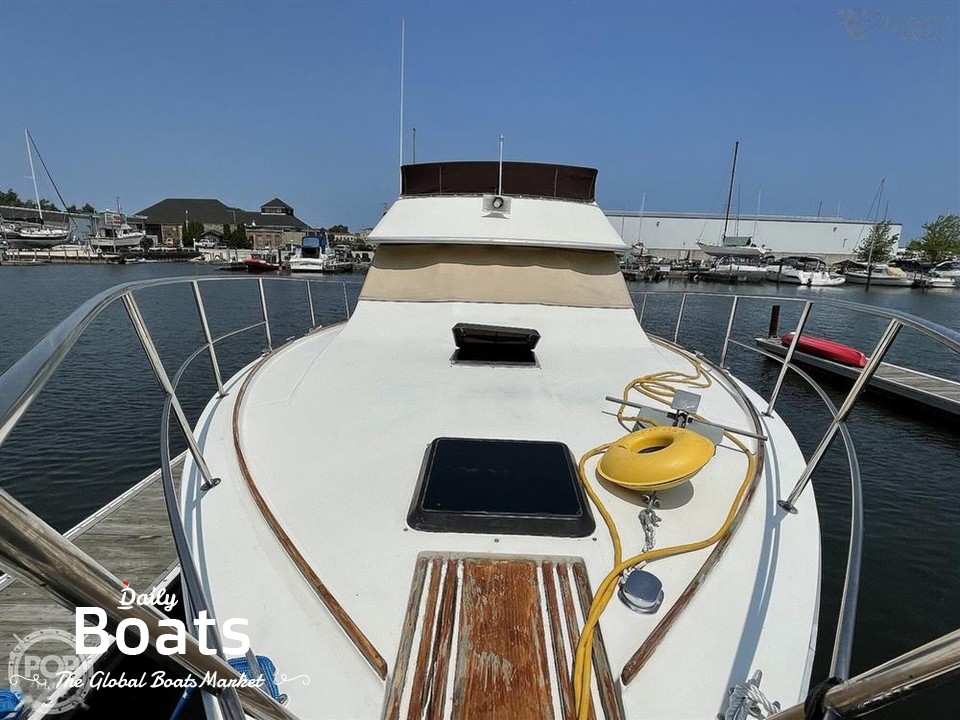 1982 Sea Ray Boats 355T Sedan for sale. View price, photos and Buy 1982 ...