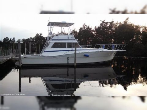 1981 Viking 40 for sale. View price, photos and Buy 1981 Viking 40 #24608
