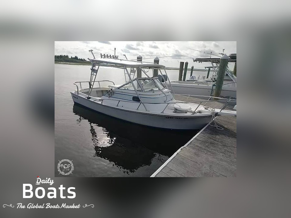 1988 Shamrock 20 Predator for sale. View price, photos and Buy 1988 ...