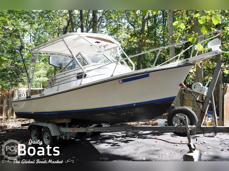 1988 Shamrock 20 Predator for sale. View price, photos and Buy 1988 ...