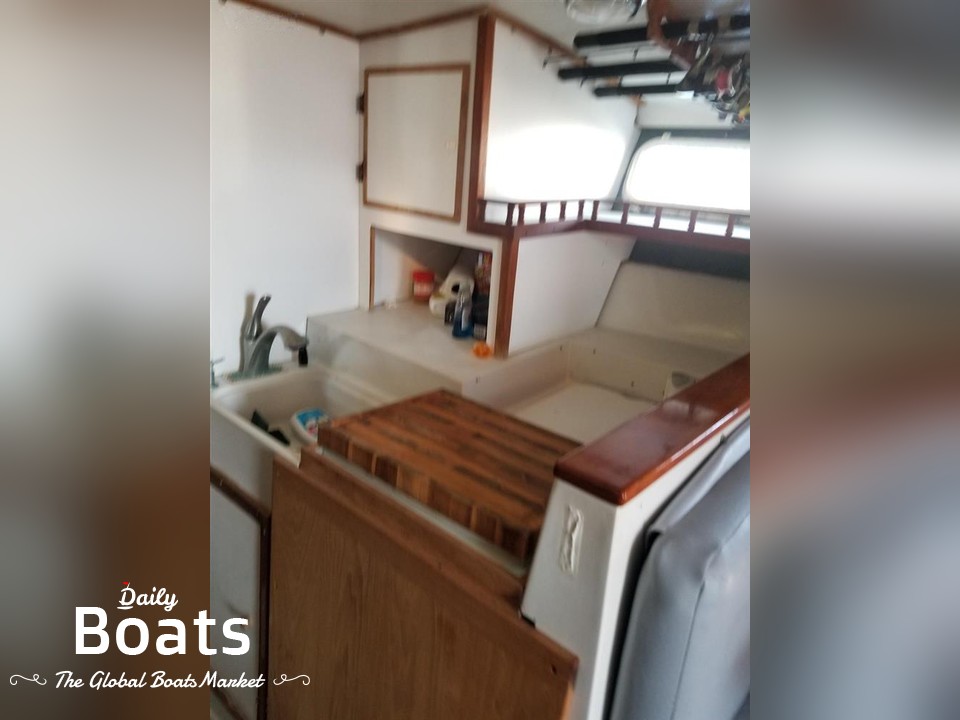 1975 Magnum 38 Sport Fish for sale. View price, photos and Buy 1975 ...