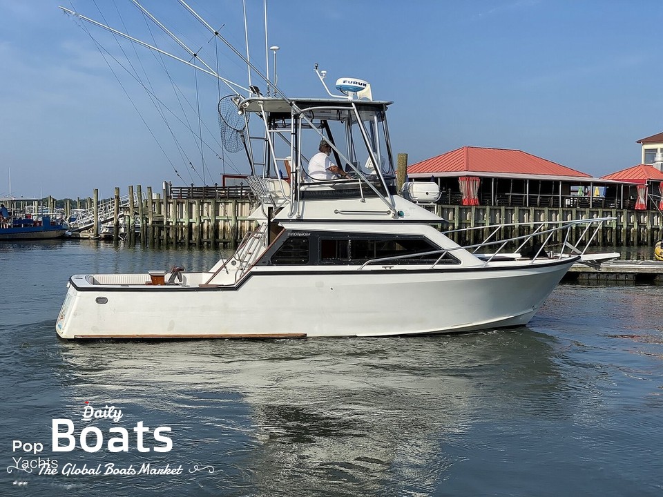 1988 Innovator 31 Sportfish for sale. View price, photos and Buy 1988 ...