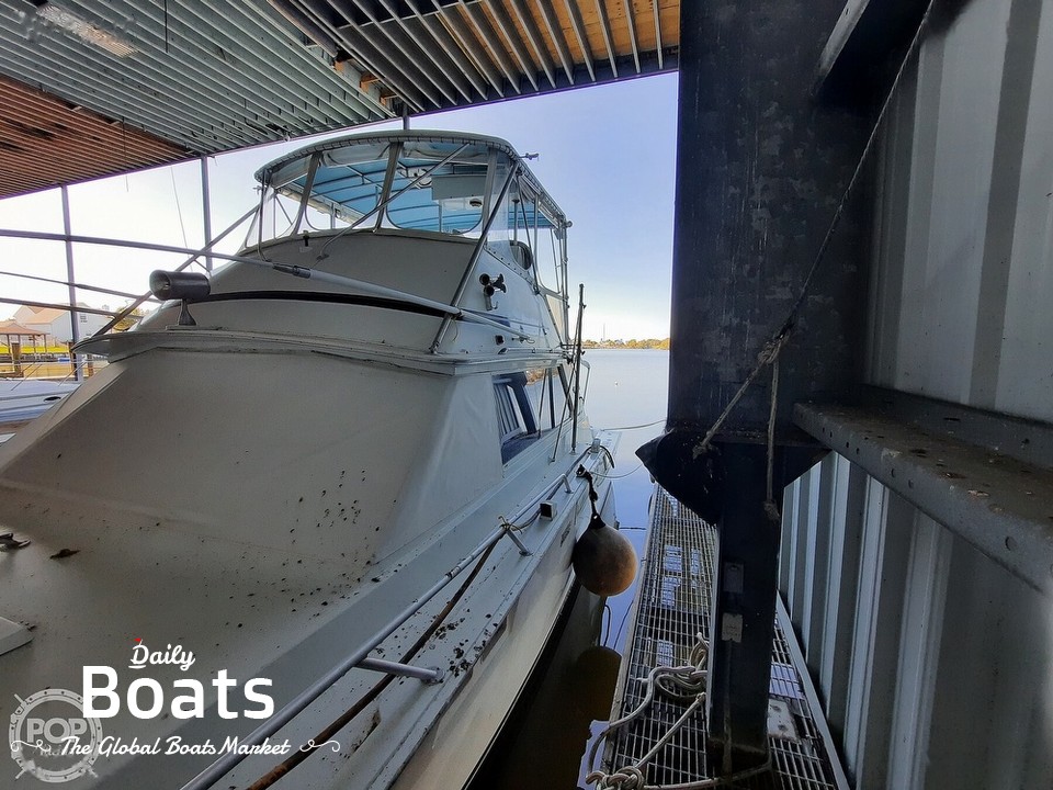 Bertram 42 for sale. View price, photos and Buy Bertram 42 #250056