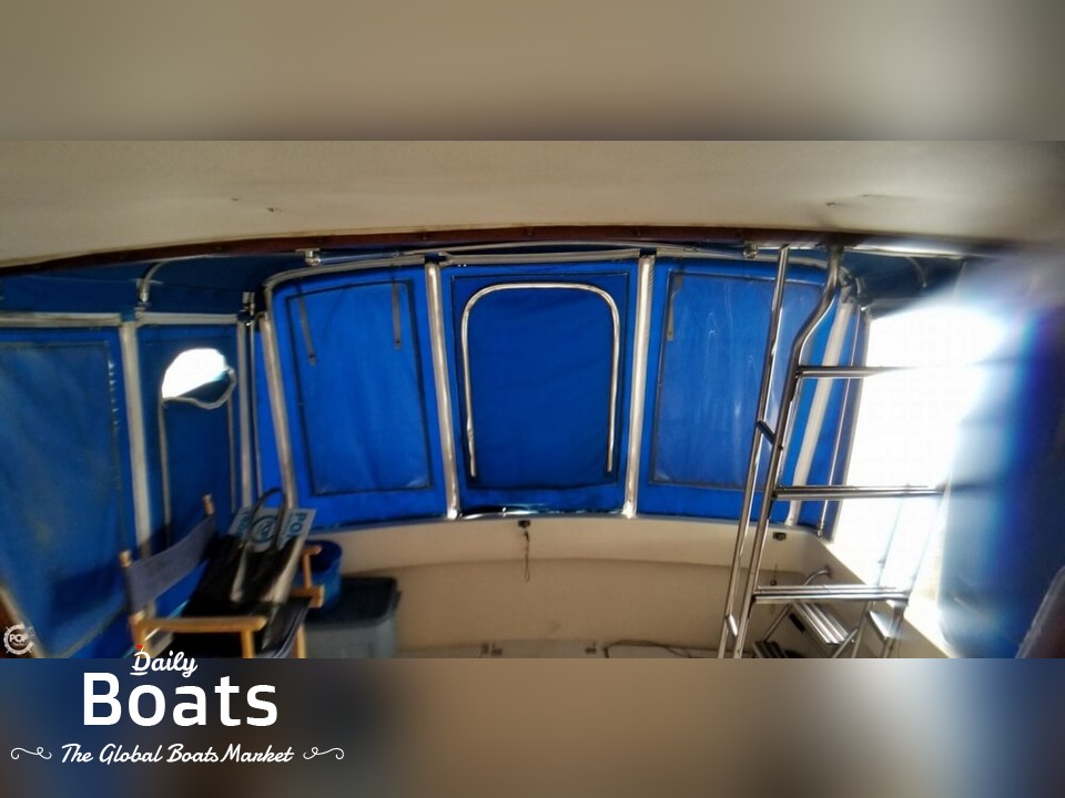 1975 Pacemaker Yachts Sedan Cruiser for sale. View price, photos and ...