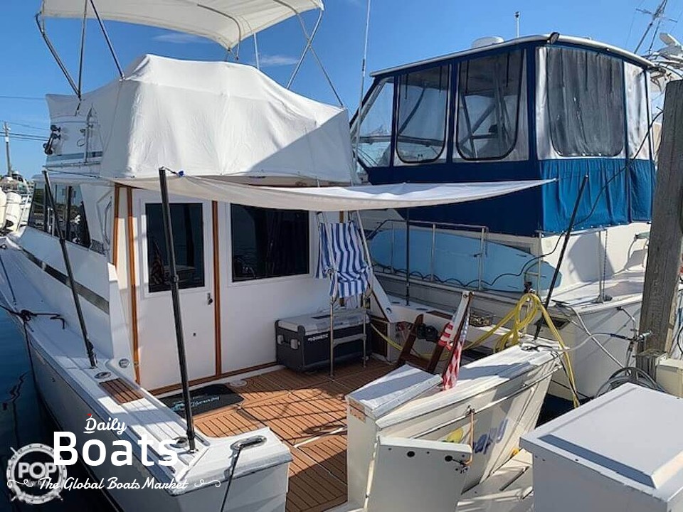 1980 Viking Yachts (US) 35 Convertible for sale. View price, photos and ...