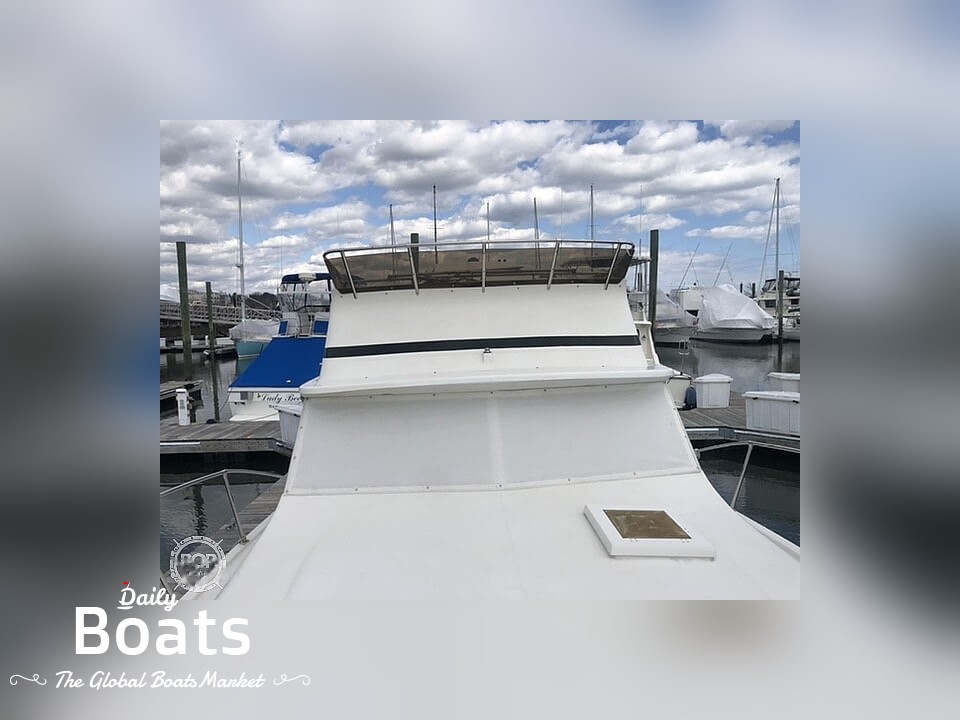 1980 Viking Yachts (US) 35 Convertible for sale. View price, photos and ...