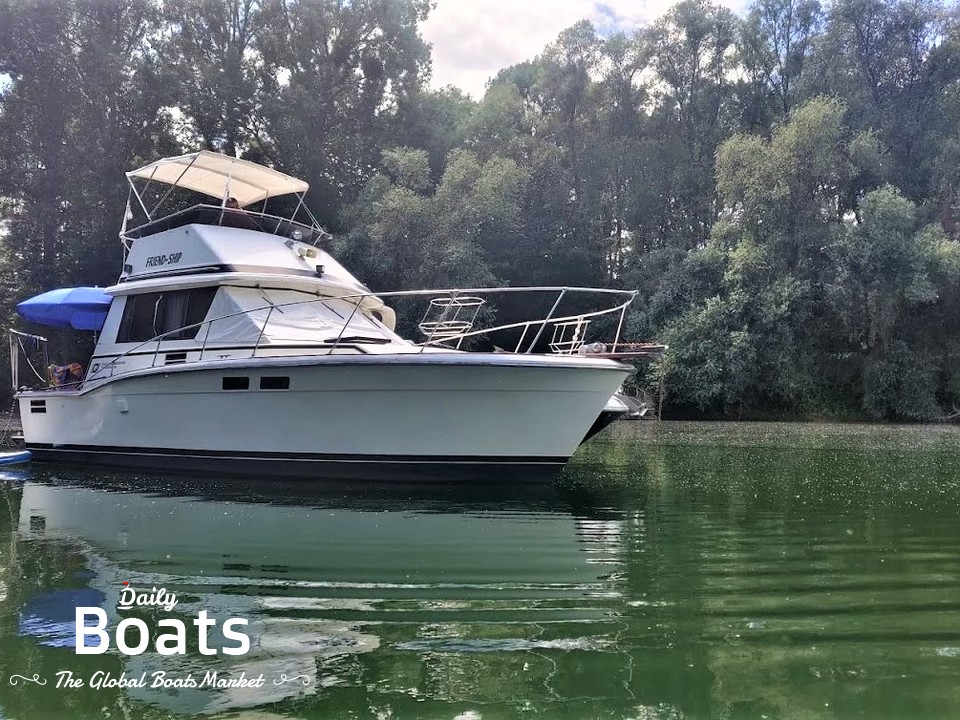 1979 Trojan F32 Sedan for sale. View price, photos and Buy 1979 Trojan ...