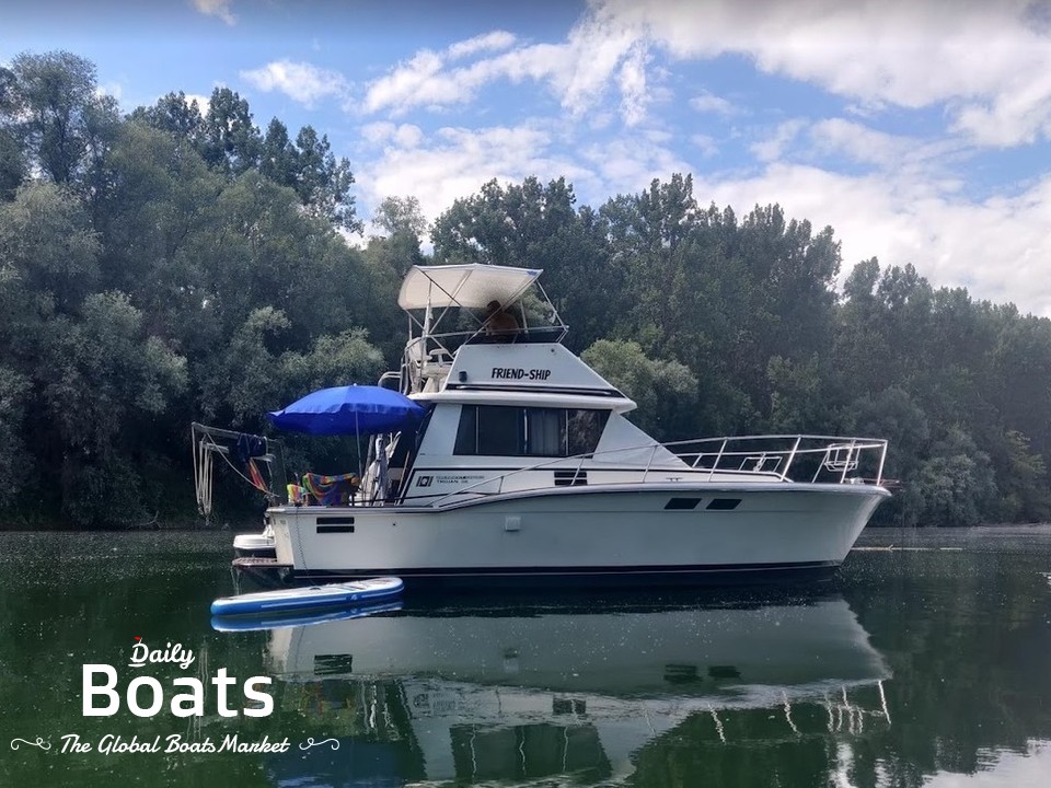 1979 Trojan F32 Sedan for sale. View price, photos and Buy 1979 Trojan ...