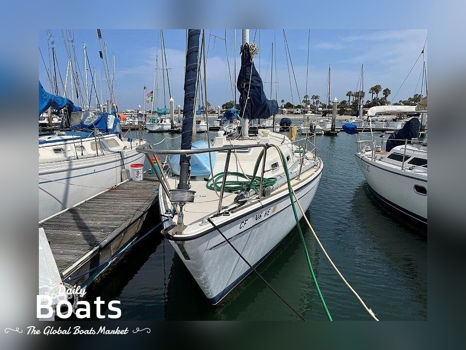 1983 Pearson 303 for sale. View price, photos and Buy 1983 Pearson 303 ...