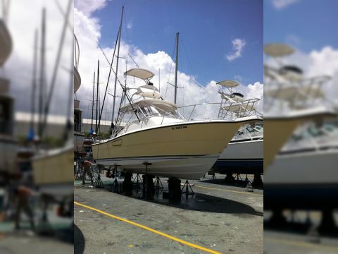 2004 Shamrock (Rampage) Diesel Express for sale. View price, photos and ...