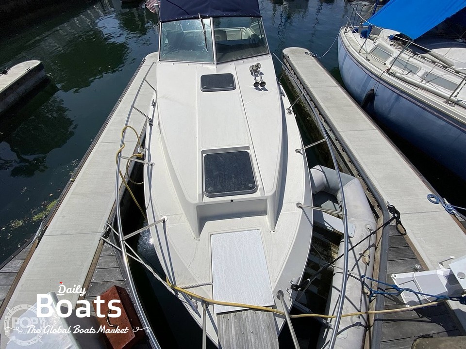 1985 Sea Ray 260 Sundancer for sale. View price, photos and Buy 1985 ...