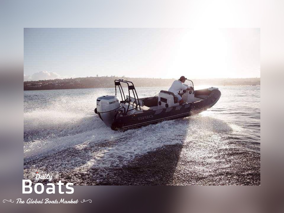 2022 Brig Navigator N610L for sale. View price, photos and Buy 2022 ...