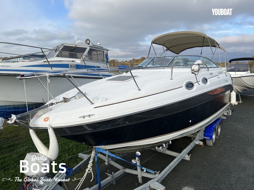 2000 Sea Ray Sundancer 260 for sale. View price, photos and Buy 2000 ...