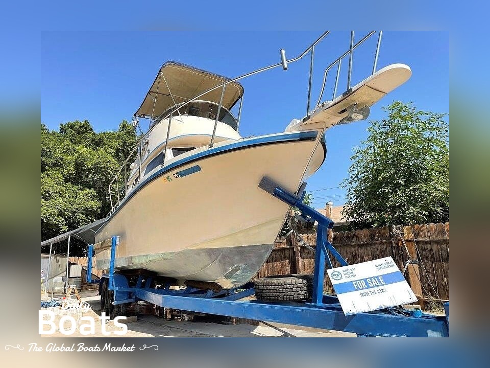 1988 Champion 26 Fish Hunter Blackman for sale. View price, photos and ...