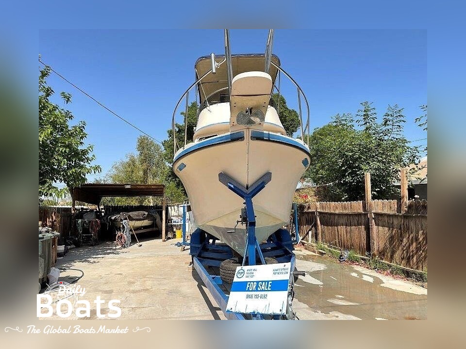 1988 Champion 26 Fish Hunter Blackman for sale. View price, photos and ...