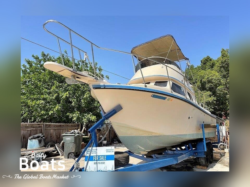 1988 Champion 26 Fish Hunter Blackman for sale. View price, photos and ...