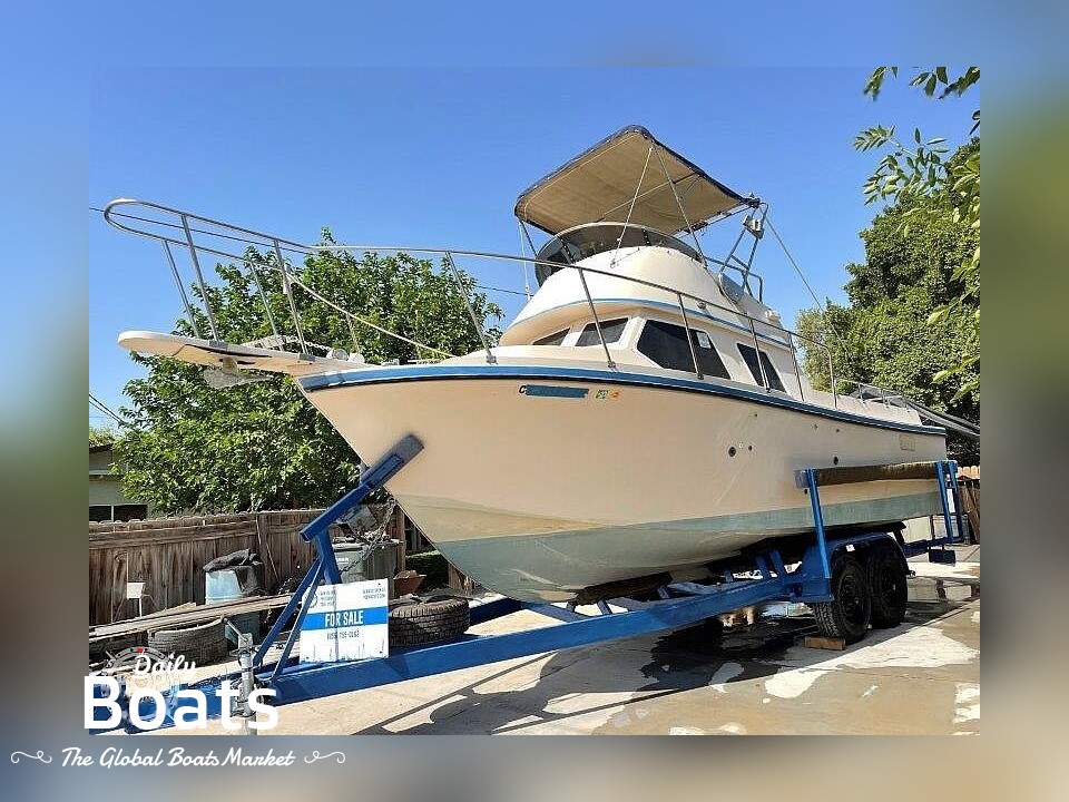 1988 Champion 26 Fish Hunter Blackman for sale. View price, photos and ...