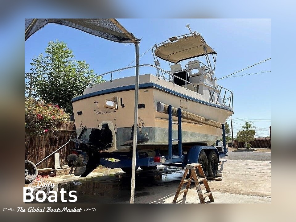 1988 Champion 26 Fish Hunter Blackman for sale. View price, photos and ...