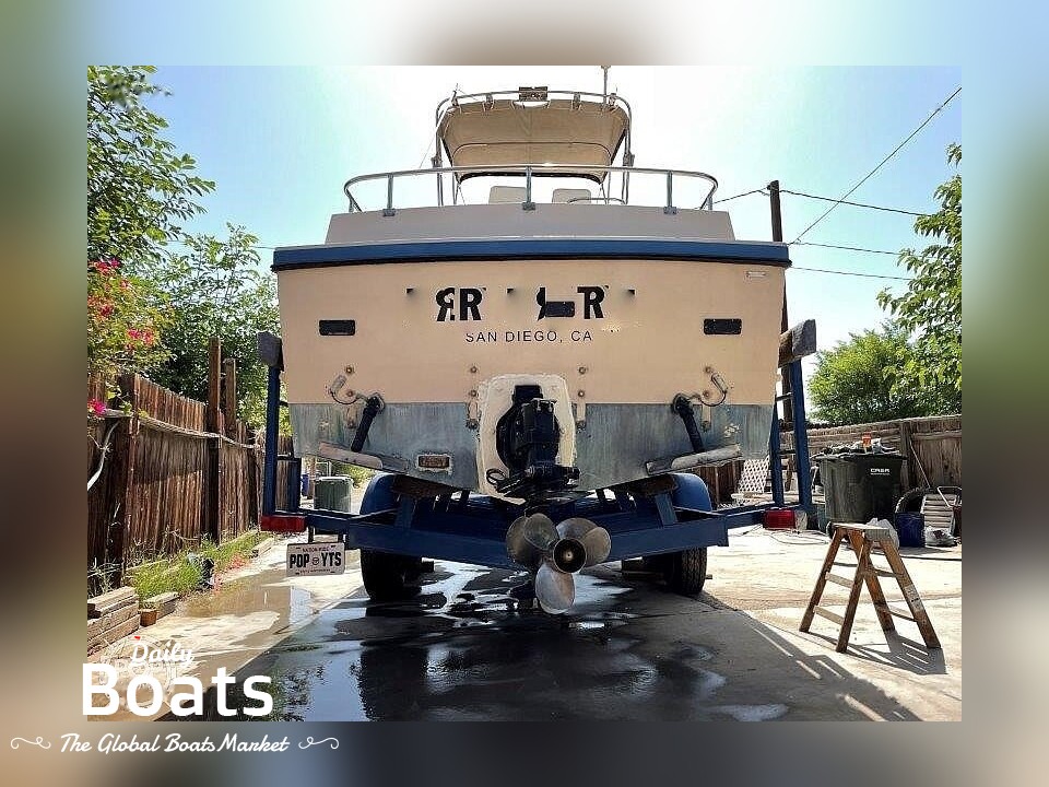 1988 Champion 26 Fish Hunter Blackman for sale. View price, photos and ...