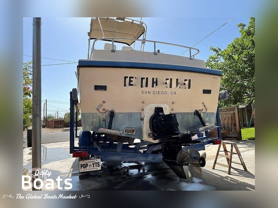 1988 Champion 26 Fish Hunter Blackman for sale. View price, photos and ...