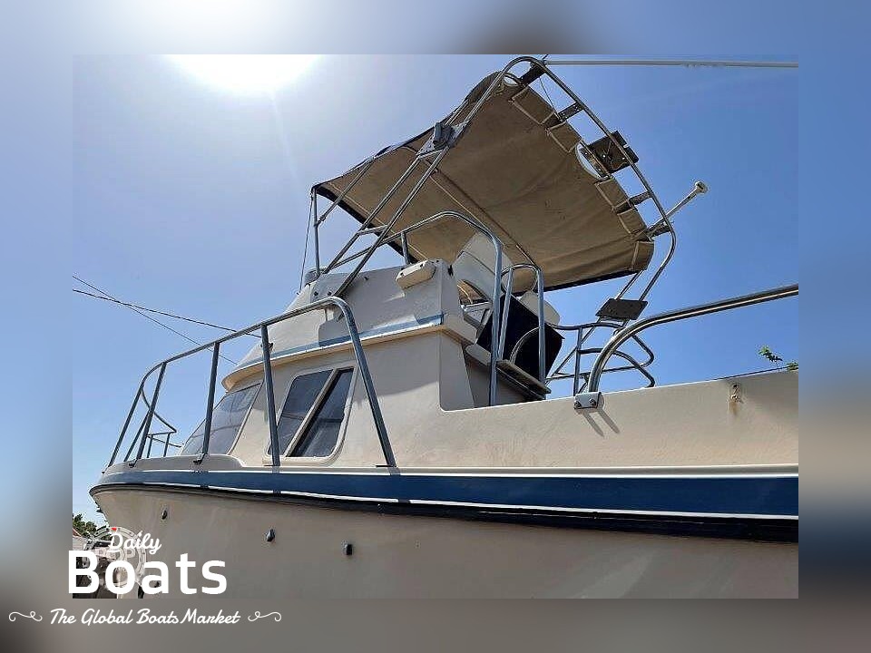 1988 Champion 26 Fish Hunter Blackman for sale. View price, photos and ...