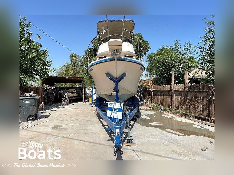 1988 Champion 26 Fish Hunter Blackman for sale. View price, photos and ...