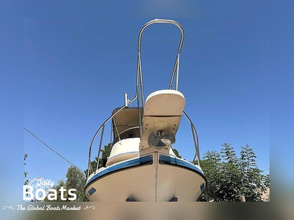 1988 Champion 26 Fish Hunter Blackman for sale. View price, photos and ...