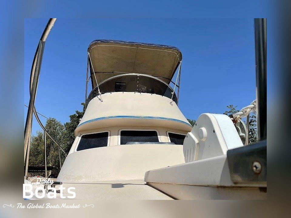 1988 Champion 26 Fish Hunter Blackman for sale. View price, photos and ...