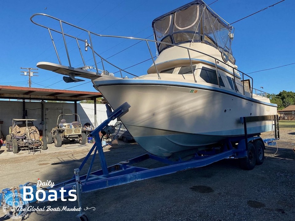 1988 Champion 26 Fish Hunter Blackman for sale. View price, photos and ...