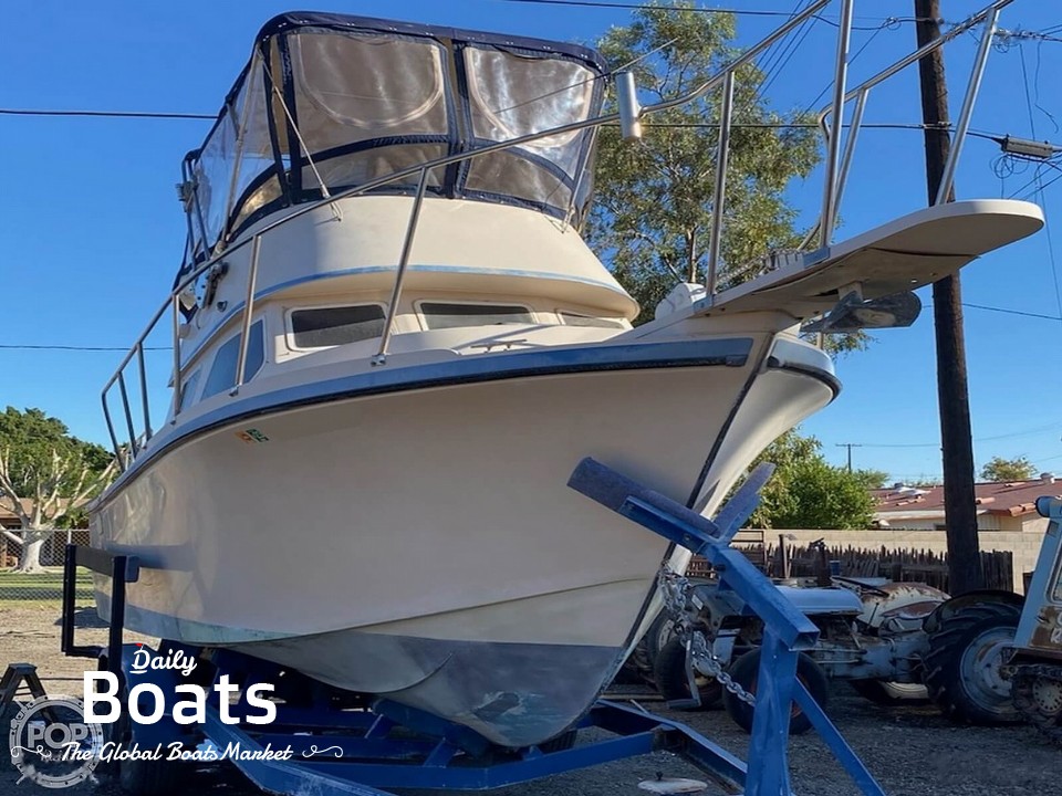 1988 Champion 26 Fish Hunter Blackman for sale. View price, photos and ...