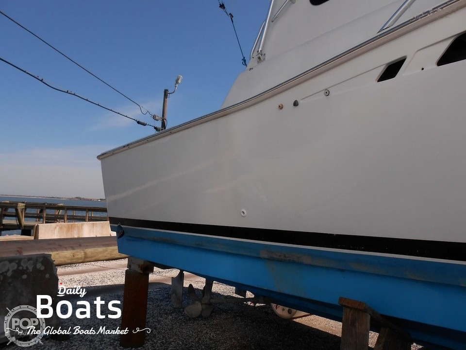 1995 Luhrs Yachts 350 Convertible Tournament for sale. View price ...