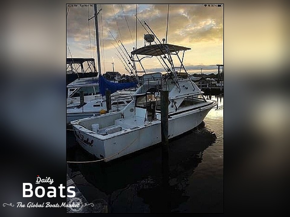 1974 Bertram 28 Sport Fisherman for sale. View price, photos and Buy ...