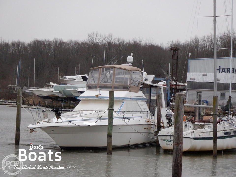 1989 Sea Ray 440 Aft Cabin for sale. View price, photos and Buy 1989 ...