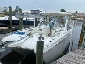 Cruising boats World Cat for sale - Daily Boats