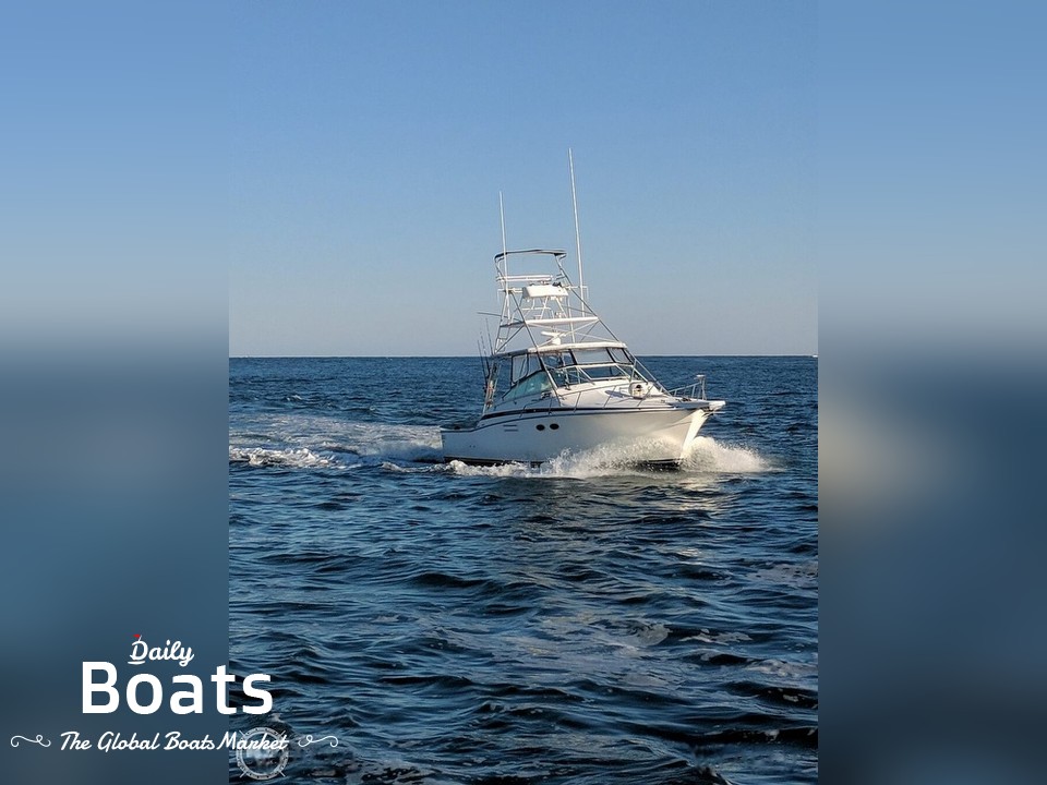 1985 Bertram 38 Special for sale. View price, photos and Buy 1985 ...