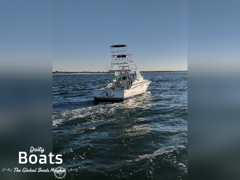 1985 Bertram 38 Special for sale. View price, photos and Buy 1985 ...