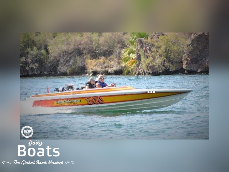 1987 Schiada 21 River Cruiser for sale. View price, photos and Buy 1987 ...