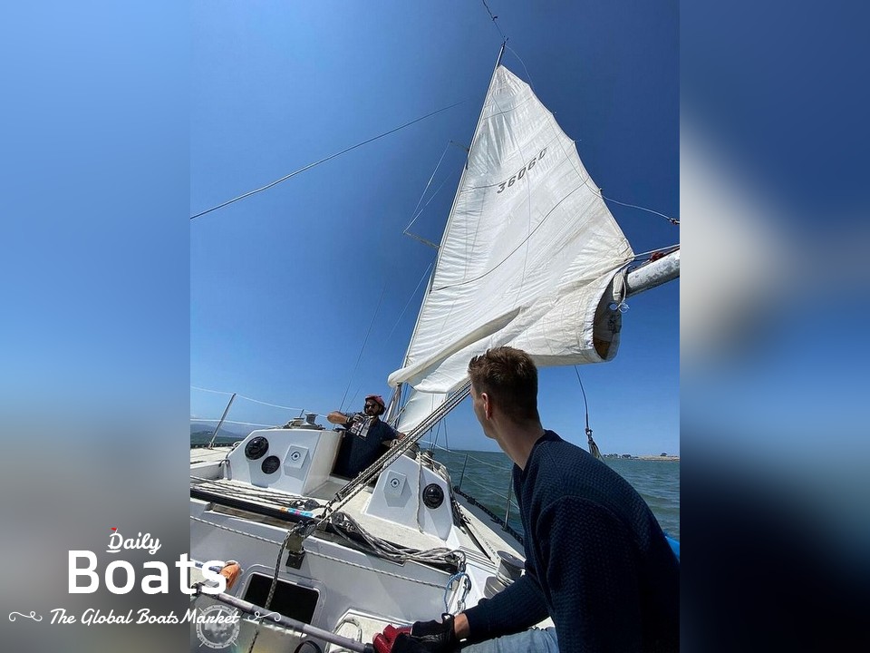 1983 WD Schock 36 for sale. View price, photos and Buy 1983 WD Schock ...