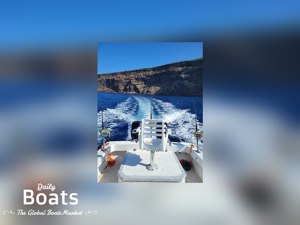 2002 Force Boats 21Wa for sale. View price, photos and Buy 2002 Force ...