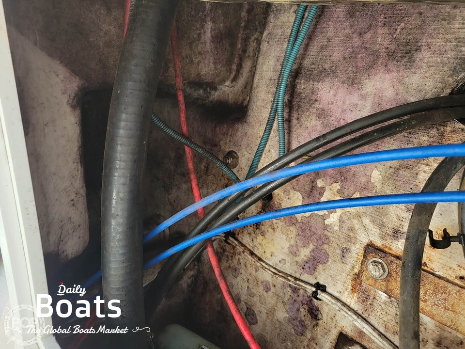 1998 Blue Fin Profish for sale. View price, photos and Buy 1998 Blue ...